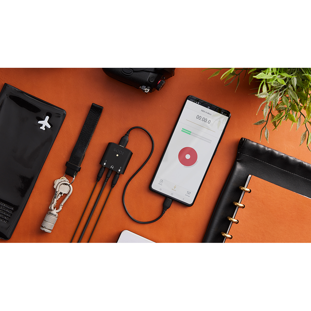 SC22 SC22 GIN-ICHI DEALER